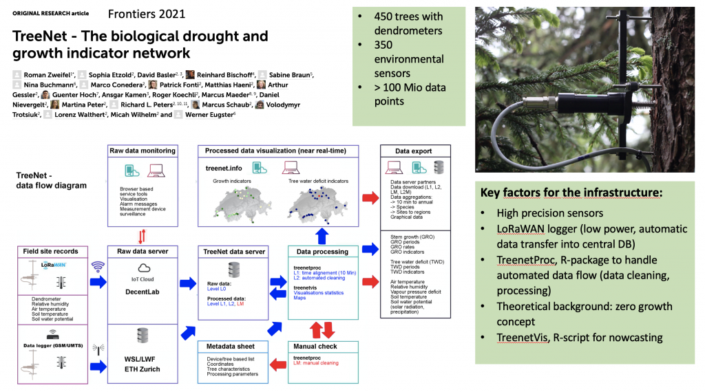 TreeNet - The biological drought and growth indicator network - TreeNet