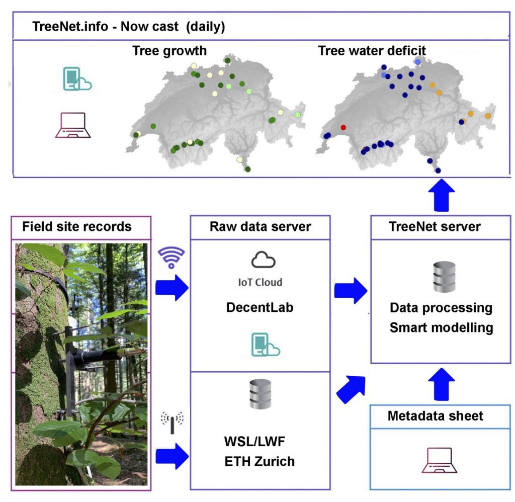 TreeNet is nowcasting - TreeNet